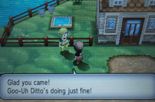 Someone Should Go Back to Trainer School - Pokémemes - Pokémon, Pokémon GO