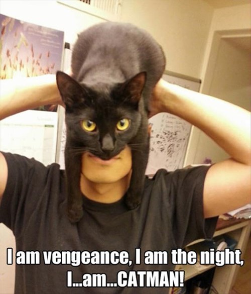Lolcats - mask - LOL at Funny Cat Memes - Funny cat pictures with words ...