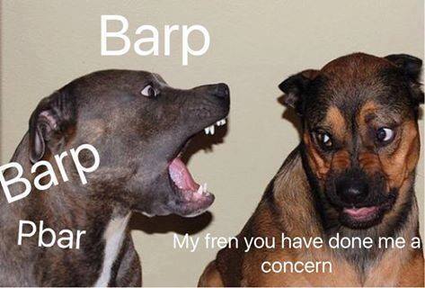 These Random Bork Memes Are Giving Us a Funny - I Can Has Cheezburger?