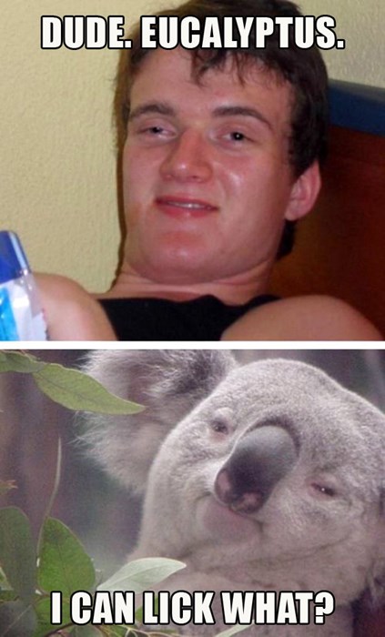 High Guy Meme Origin