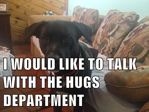 You're Behind on Your Daily Hug Quota - I Has A Hotdog - Dog Pictures ...