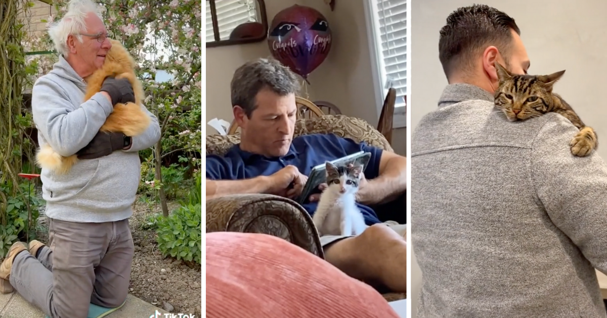 A Cute Collection Of Cats That Prefer To Cuddle With Dad - I Can Has ...