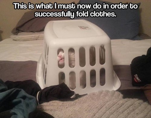 But I Just Want to Help! - Lolcats - lol | cat memes | funny cats ...