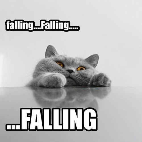 A Little Help Please? - Lolcats - lol | cat memes | funny cats | funny ...