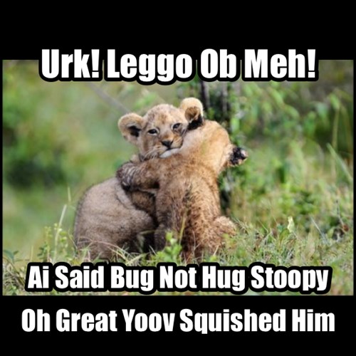 Now That's Some Cute Multitasking! - Animal Comedy - Animal Comedy ...