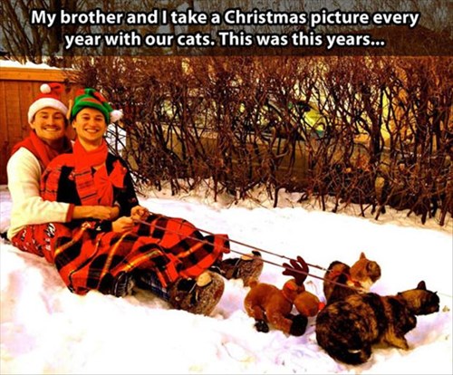 They're Named Dasher and Prancer - Lolcats - lol | cat memes | funny ...