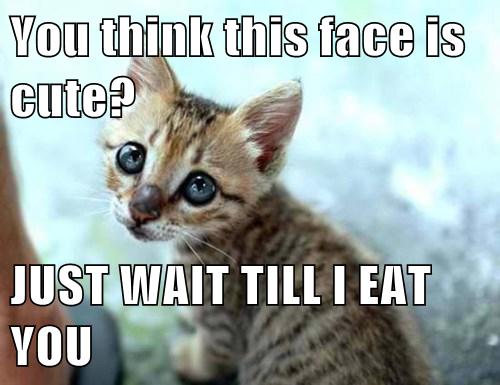 Lolcats - scary - Page 2 - LOL at Funny Cat Memes - Funny cat pictures ...