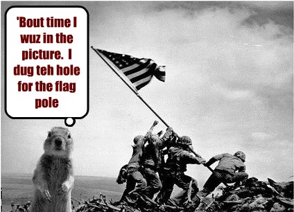 Patriotic Prairie Dog has His Day - Animal Comedy - Animal Comedy ...