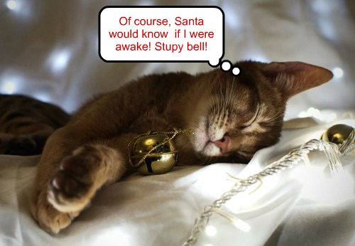 Why Does Santa Get all the Cookies? - Lolcats - lol | cat memes | funny ...