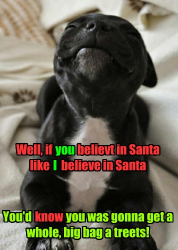 Santa is Real if You Believe in Him - I Has A Hotdog - Dog Pictures ...