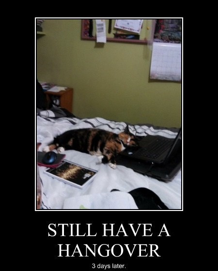 Memebase - hungover - Page 2 - All Your Memes In Our Base - Funny Memes ...
