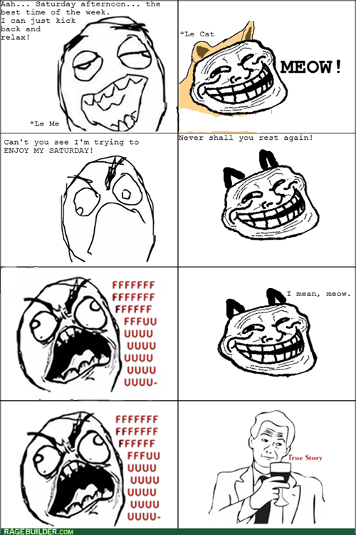 My Cat's a Troll - Rage Comics - rage comics