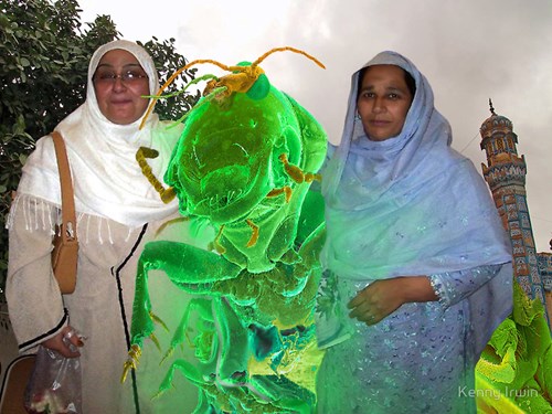 They Aren't Bugged - Picture Is Unrelated - Funny Picture | Funny Video ...