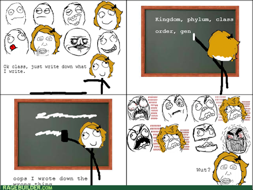 Troll Comics School