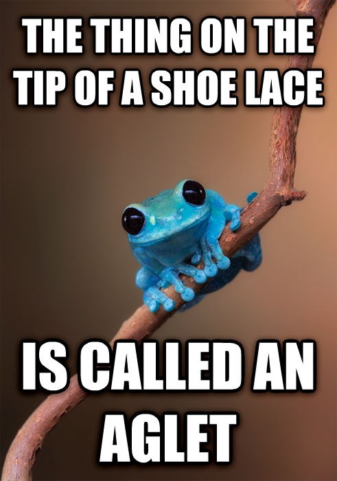Tiny Fact Frog - Memebase - Funny Memes