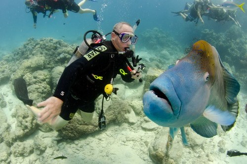 He's As Surprised As You Are - Photobombs - photobomb that guy