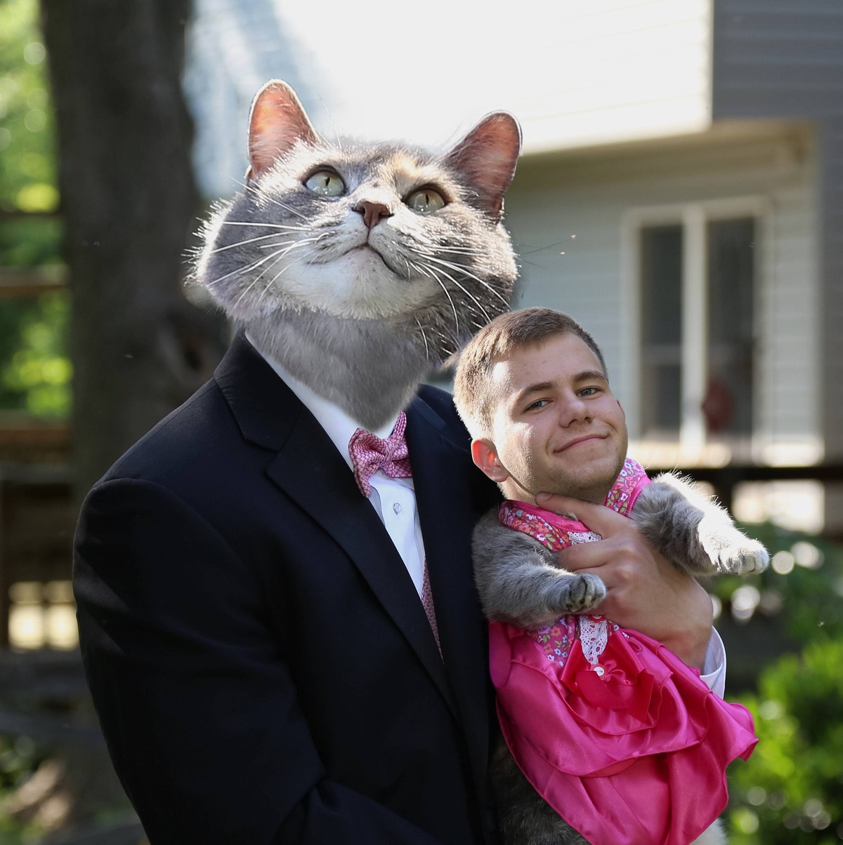 The Internet Just Couldn't Get Enough of Prom Cat and Her Human - I Can ...