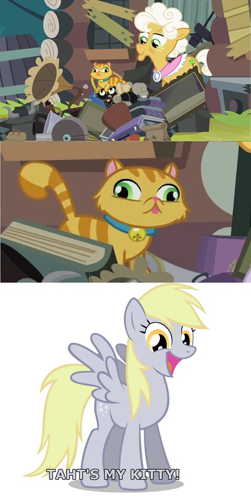 Derpy's Cat - My Little Brony - my little pony, friendship is magic ...