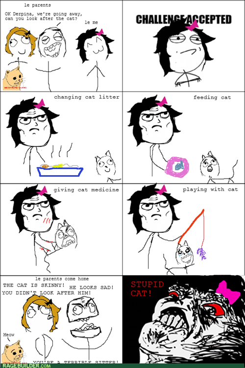 Rage Comics - Challenge Accepted - Rage Comics - rage comics - Cheezburger