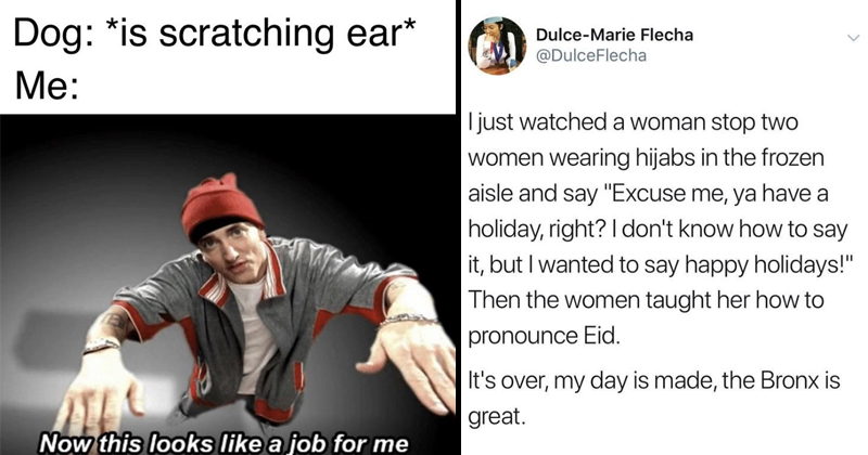 20 Pleasant Pics To Help You Fight The Negativity - Memebase - Funny Memes