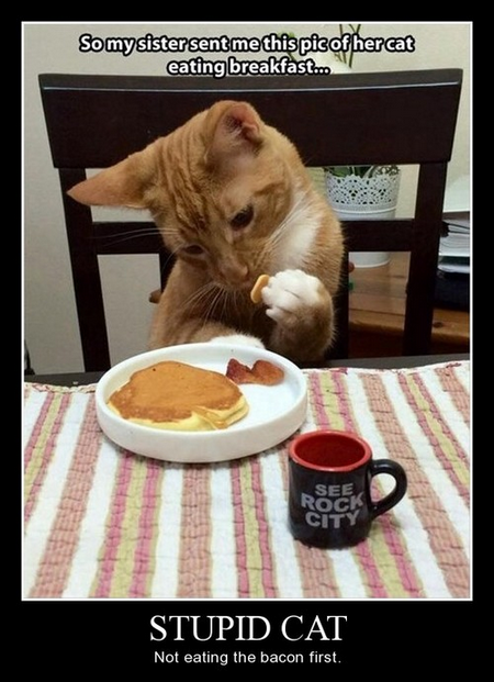 Memebase - breakfast - Page 6 - All Your Memes In Our Base - Funny ...