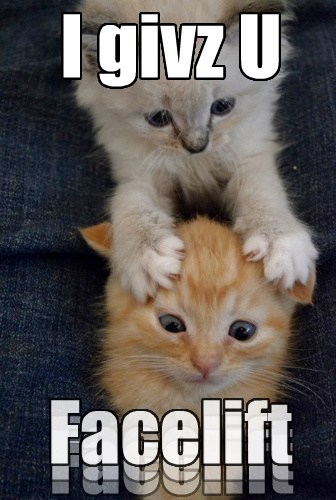 Cats are Wrinkly - Lolcats - lol | cat memes | funny cats | funny cat ...