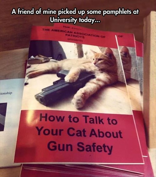 It's Safest Just to Remember the Noms... - Lolcats - lol | cat memes ...