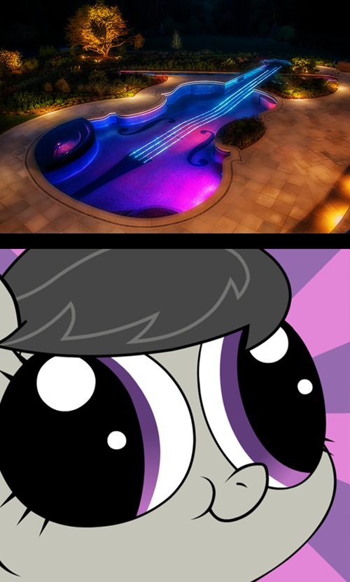Violin Pool! - My Little Brony - my little pony, friendship is magic ...