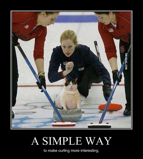 Very Demotivational - curling - Very Demotivational Posters - Start ...