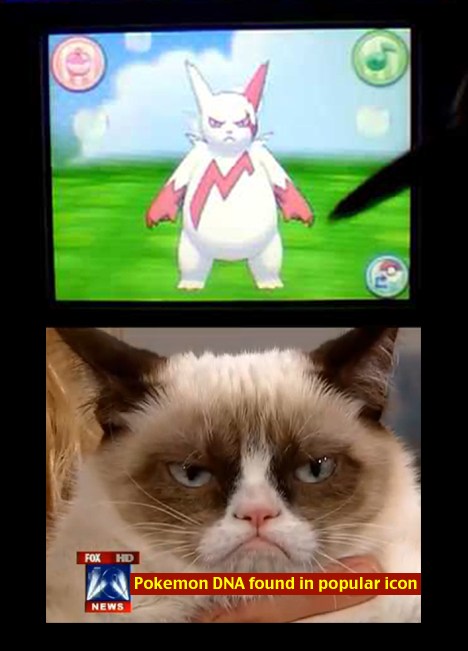 Pokémemes - Grumpy Cat - Pokemon Memes - Pokémon, Pokémon GO - Cheezburger