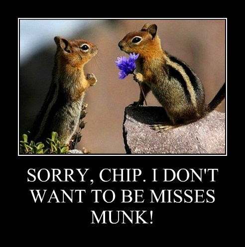 Aw, Nuts! Rejected Again! - Animal Comedy - Animal Comedy, funny ...