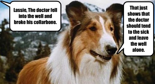 Hey Lassie Memes