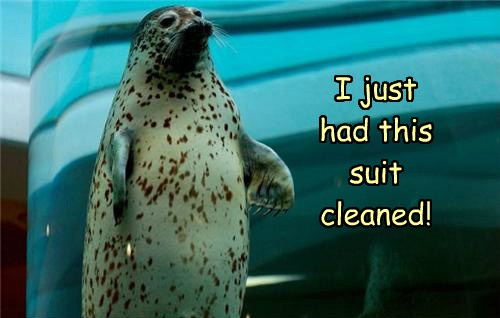 You Puddle Splashing Maniacs! - Animal Comedy - Animal Comedy, funny ...