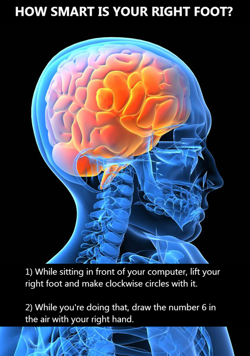 Art of Trolling - brain - Troll Tricks and Pranks - Trolling 101 ...