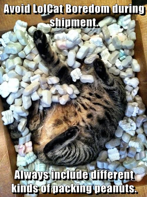 The Only Way a Box Can Improve... - Lolcats - lol | cat memes | funny ...