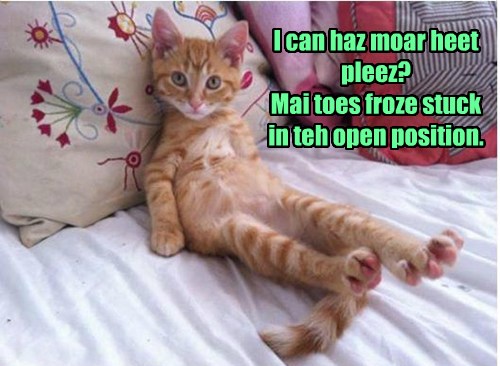 Lolcats - winter - Page 2 - LOL at Funny Cat Memes - Funny cat pictures ...