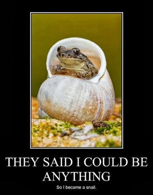 Very Demotivational - snail - Very Demotivational Posters - Start Your ...