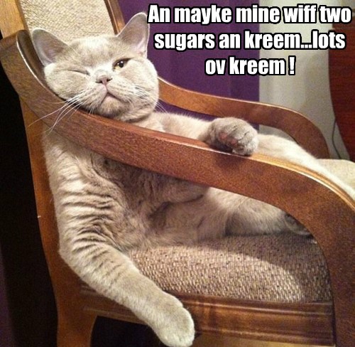 And Don't Forget the Cream! Did I Mention the Cream? - Lolcats - lol ...