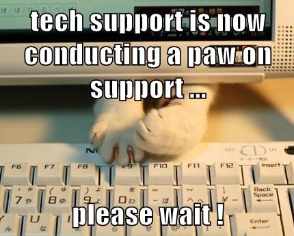 Lolcats - tech support - LOL at Funny Cat Memes - Funny cat pictures ...