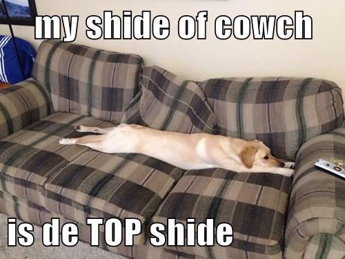 You Sit on the Floor! - I Has A Hotdog - Dog Pictures - Funny pictures ...