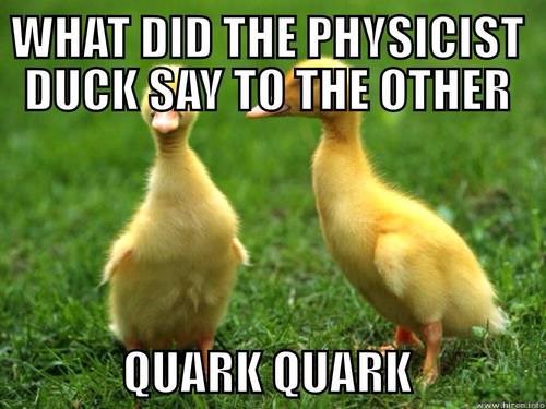 Ducks Make Great Physicists - School of Fail - homework class test