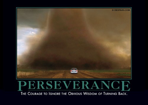 Very Demotivational - Perseverance - Very Demotivational Posters ...