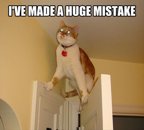 Help...Me... - Lolcats - lol | cat memes | funny cats | funny cat ...