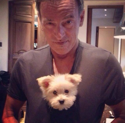 Who's the Boss? - Pop Culture - funny celebrity pictures