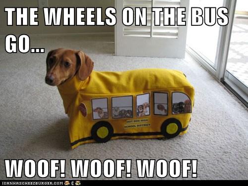 I Has A Hotdog - school bus - Funny Dog Pictures | Dog Memes | Puppy ...