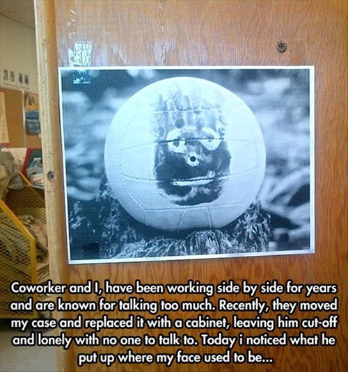 Everyone Needs a Winston at Work - Monday Thru Friday - job fails