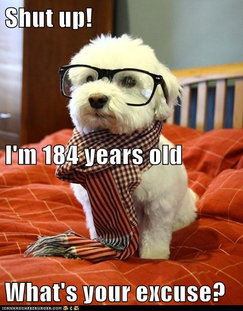 I Can Has Cheezburger? - dog years - Funny Animals Online - Cheezburger