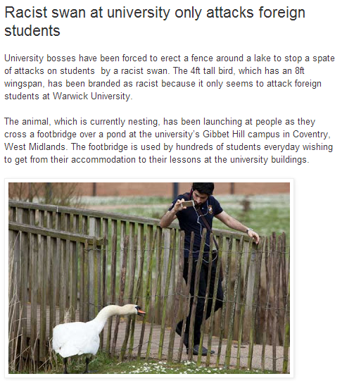 The Only Swan That Needs Sensitivity Training - FAIL Nation - Vintage ...