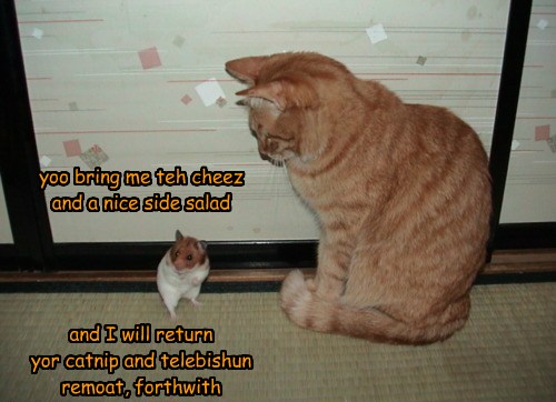 Letz Make A Deal - Lolcats - lol | cat memes | funny cats | funny cat ...