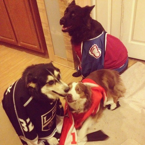 The NHL Playoffs Are Underway and Tensions Are High - Americana ...